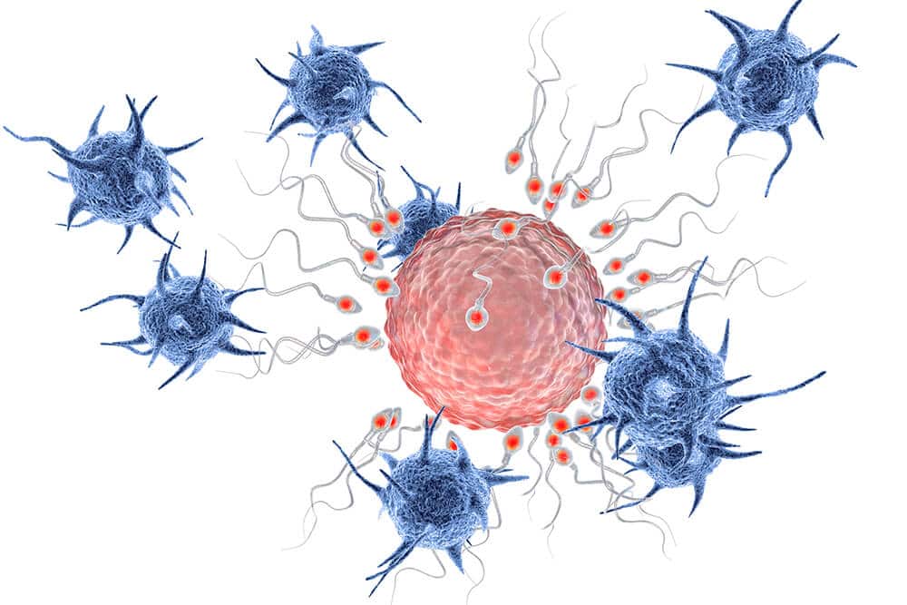 Mykoplasma - Symptomer og behandling | Oslo City Legesenter