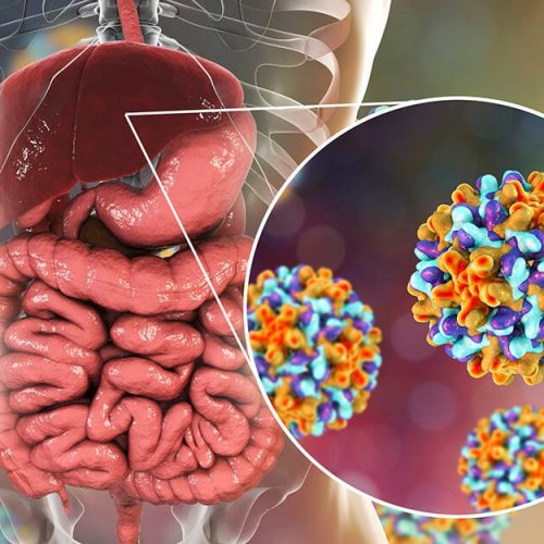 Hepatitt B - Symptomer og behandling | Oslo City Legesenter